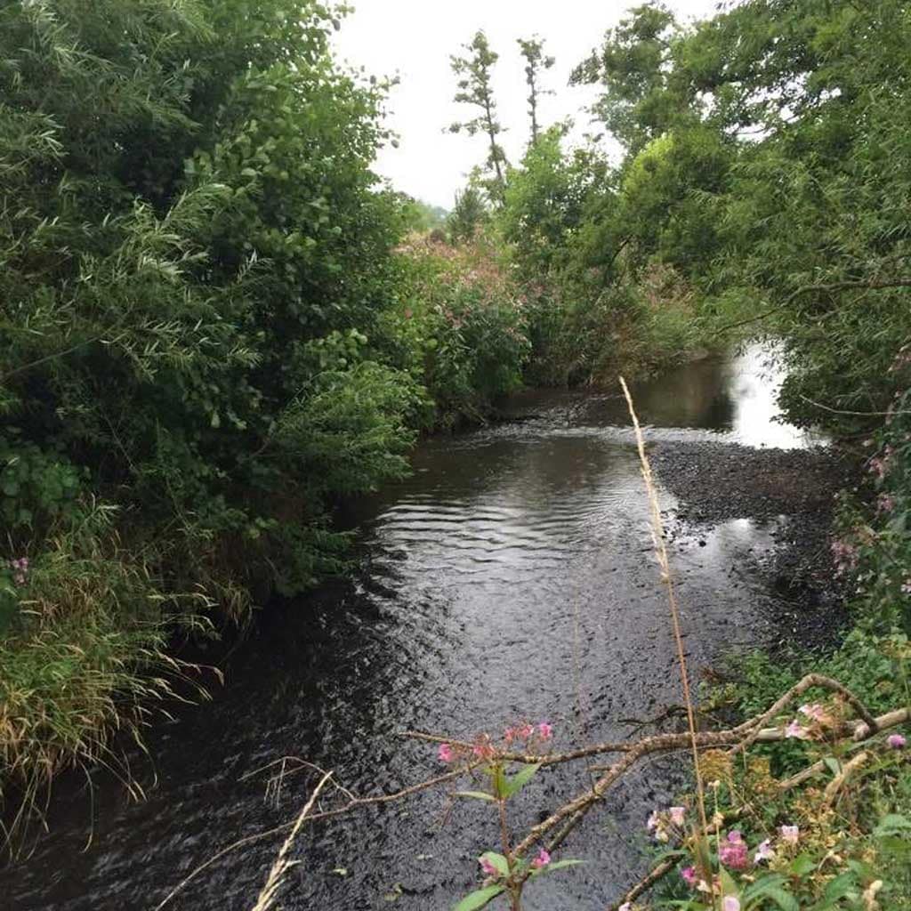 River Clun – Salopian Fly Fishers